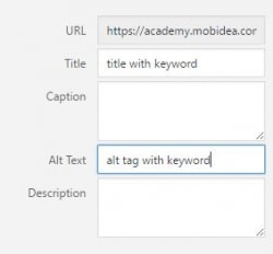 How to Write SEO-Friendly Content in 2023 (A Step by Step Guide)